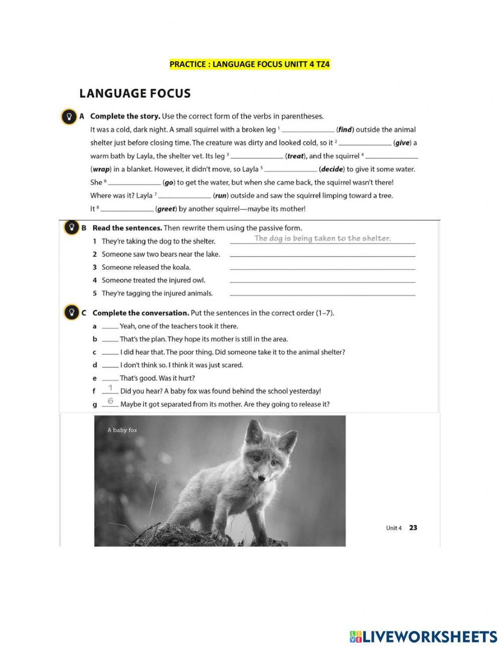 PRACTICE : LANGUAGE FOCUS UNIT 4 TZ4 online exercise for | Live Worksheets