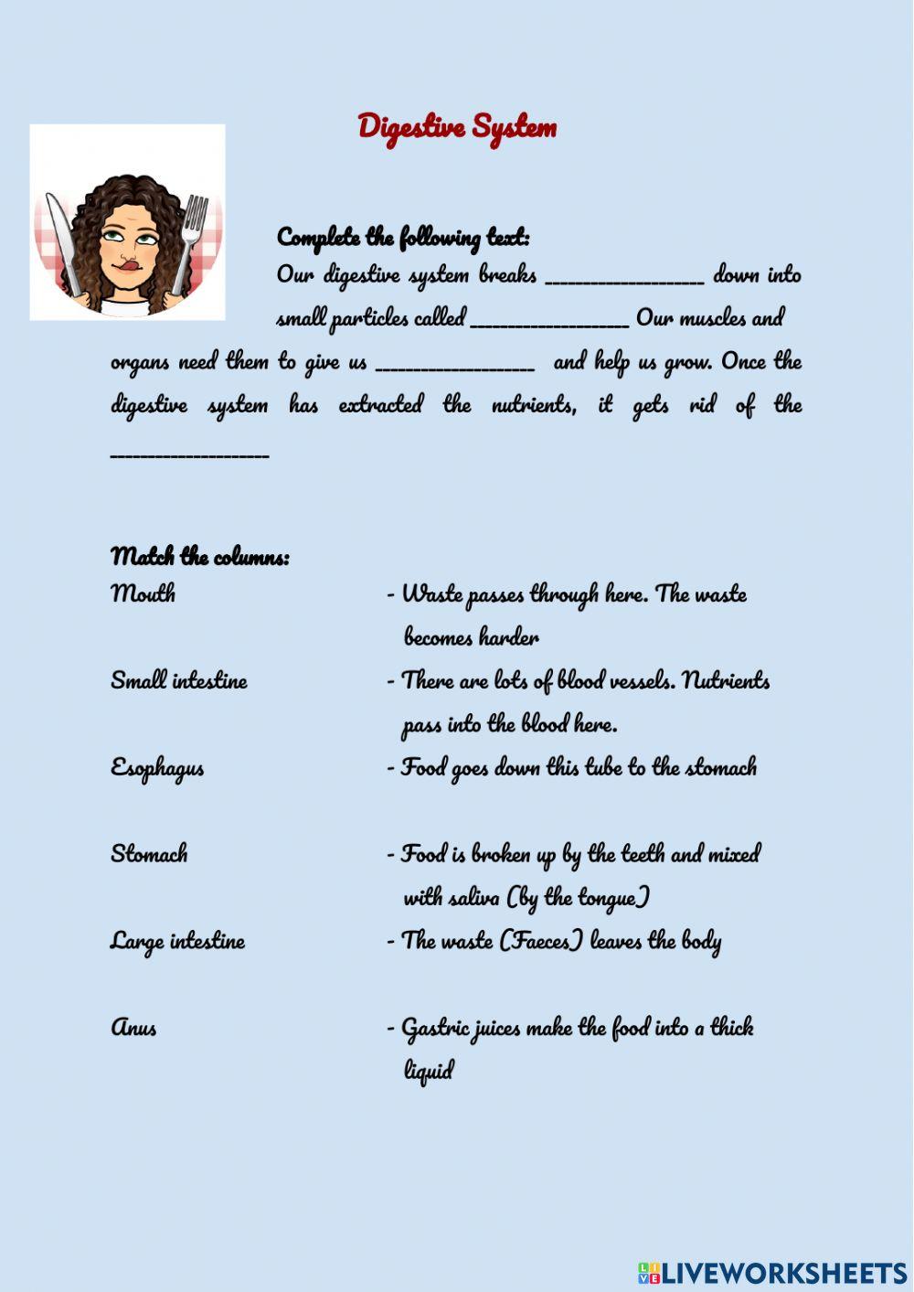 Digestive system online exercise for 4º | Live Worksheets