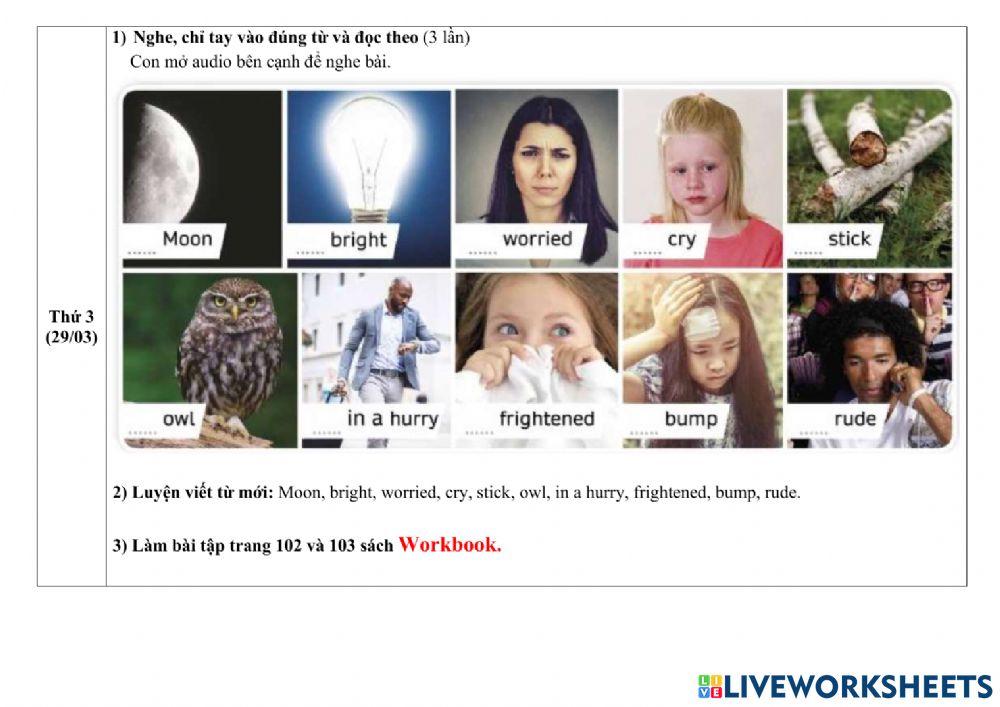 Vocab 1 + Reading 1 Unit 8 worksheet | Live Worksheets