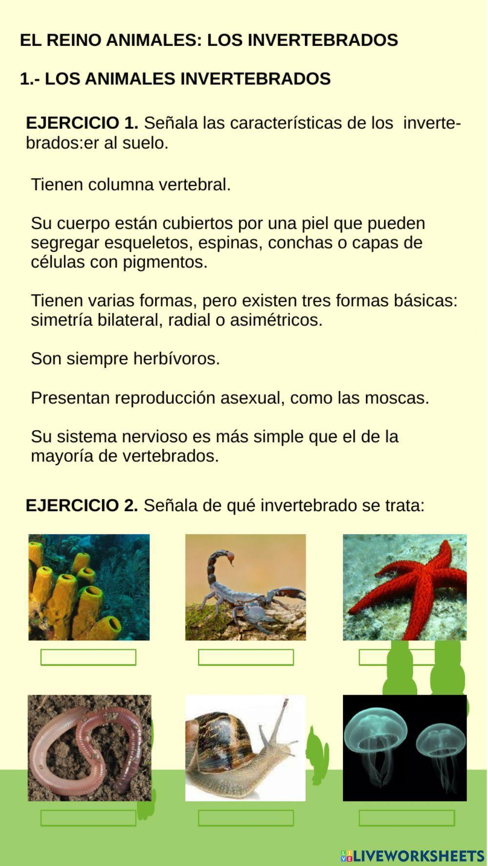 Los animales in… | Free Interactive Worksheets | 1967570
