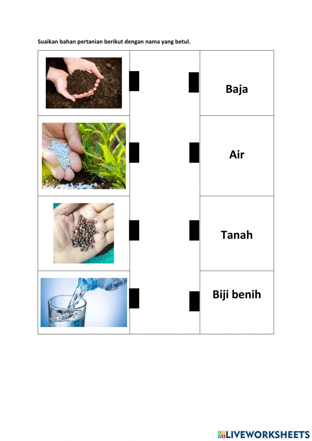 Asas Pertanian: Bahan Pertanian | LiveWorksheets