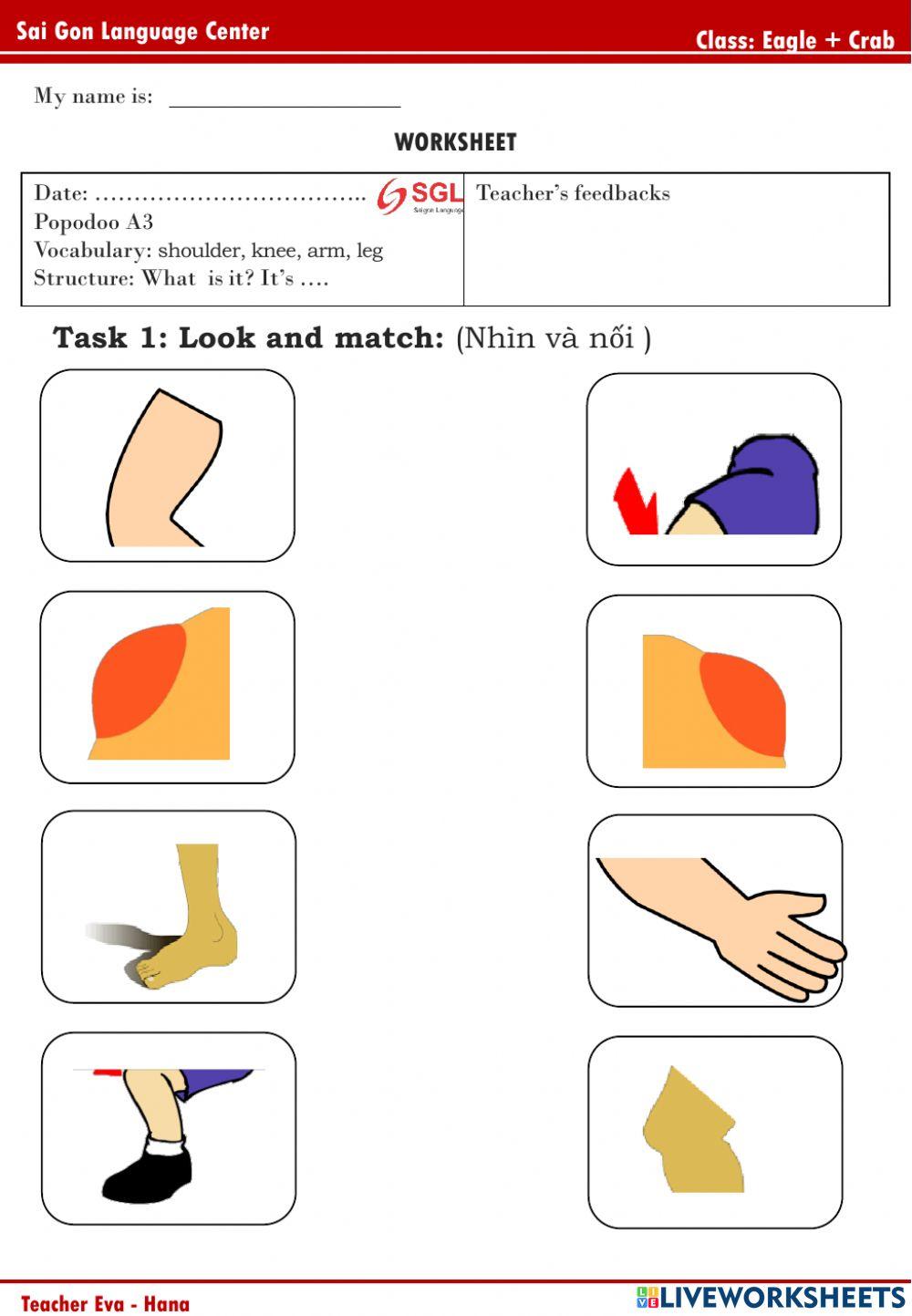 PPD a3 - (Knee, leg, arm, shoulder) worksheet | Live Worksheets