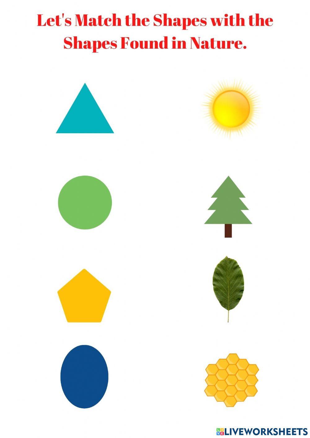 Let's Match the Shapes with the Shapes Found in Nature.
