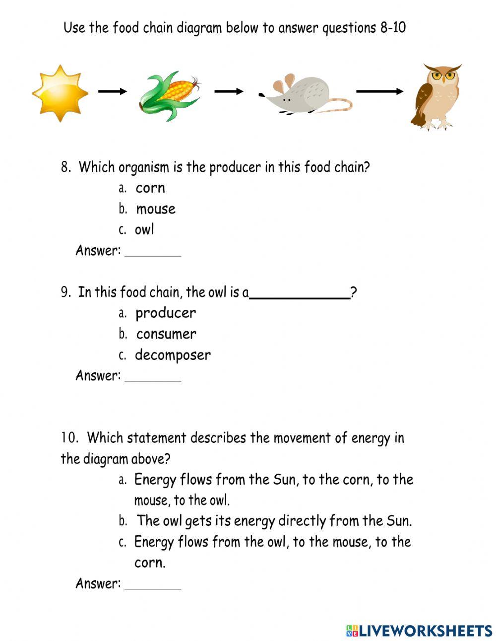 Food Chain - Food Web - Student Assembly online exercise for | Live ...