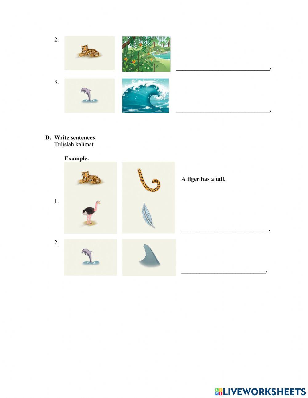 P4 English Daily Test 3 2812128 | Alfilia Sanjaya