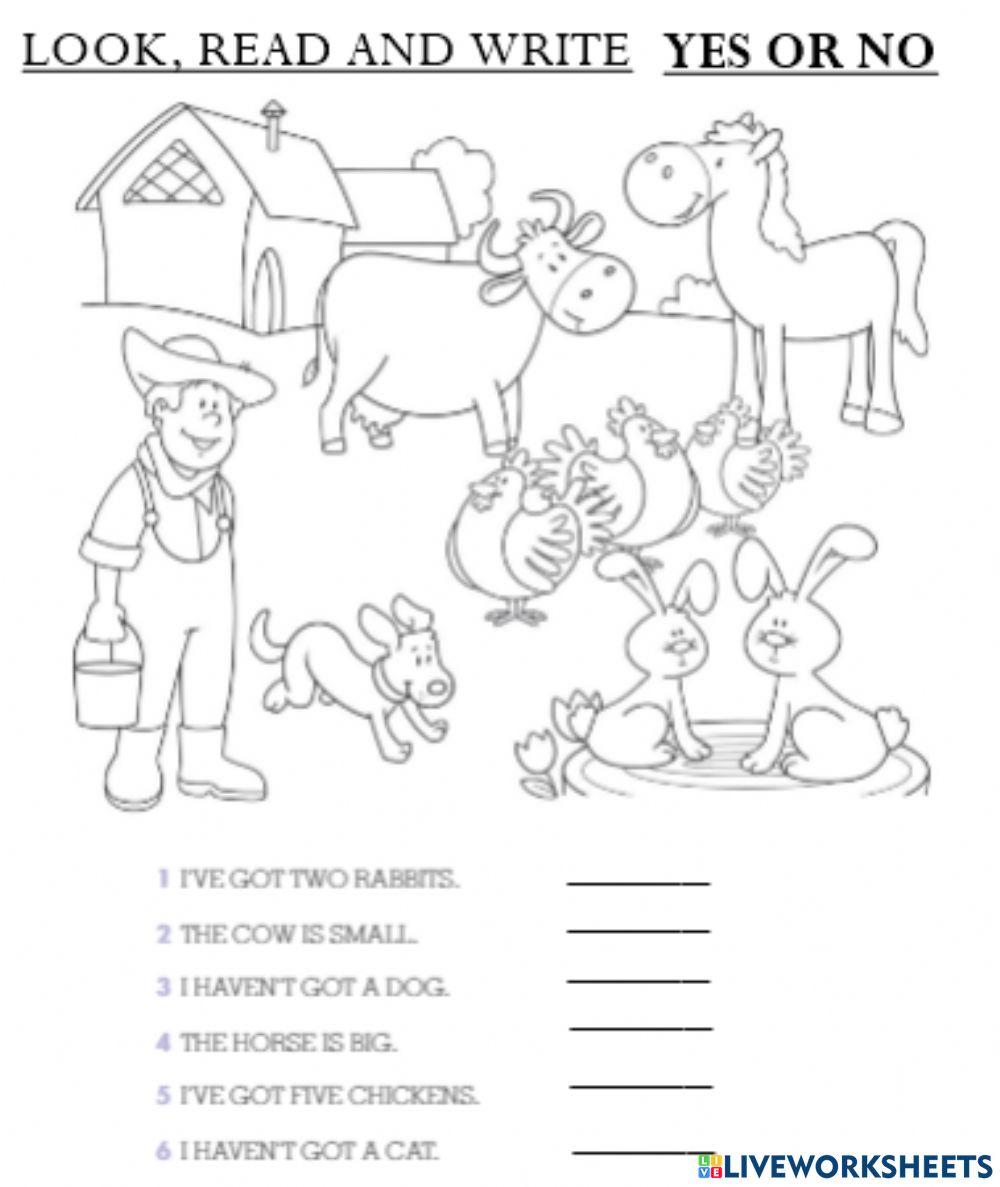 YES OR NO? online exercise for | Live Worksheets