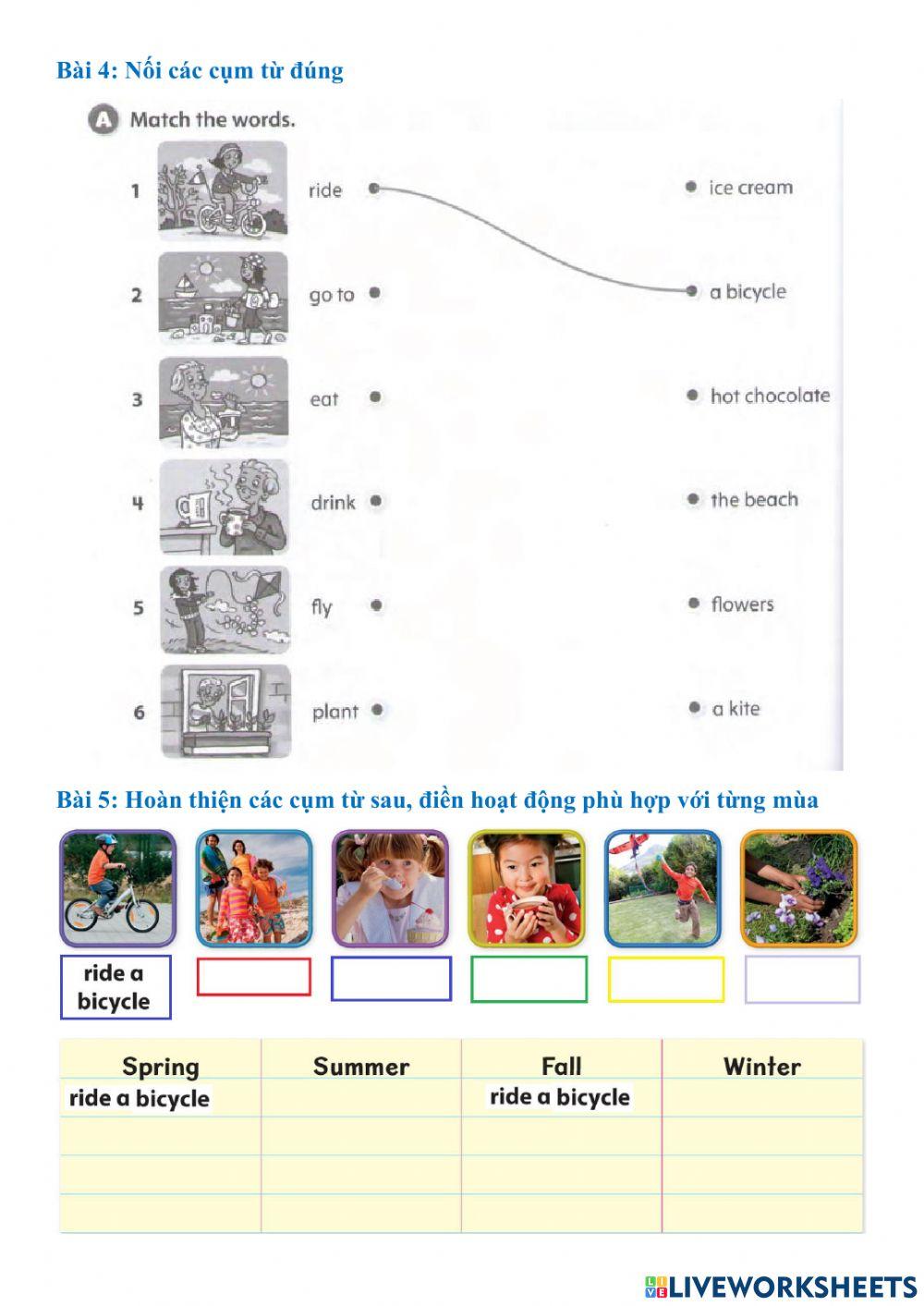 Seasons activities worksheet | Live Worksheets