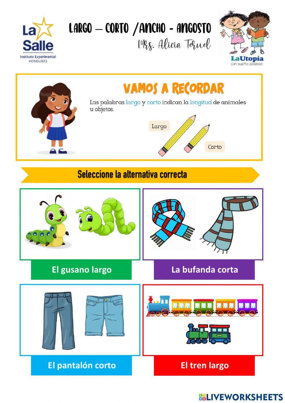 Largo - corto -… | Free Interactive Worksheets | 1913943