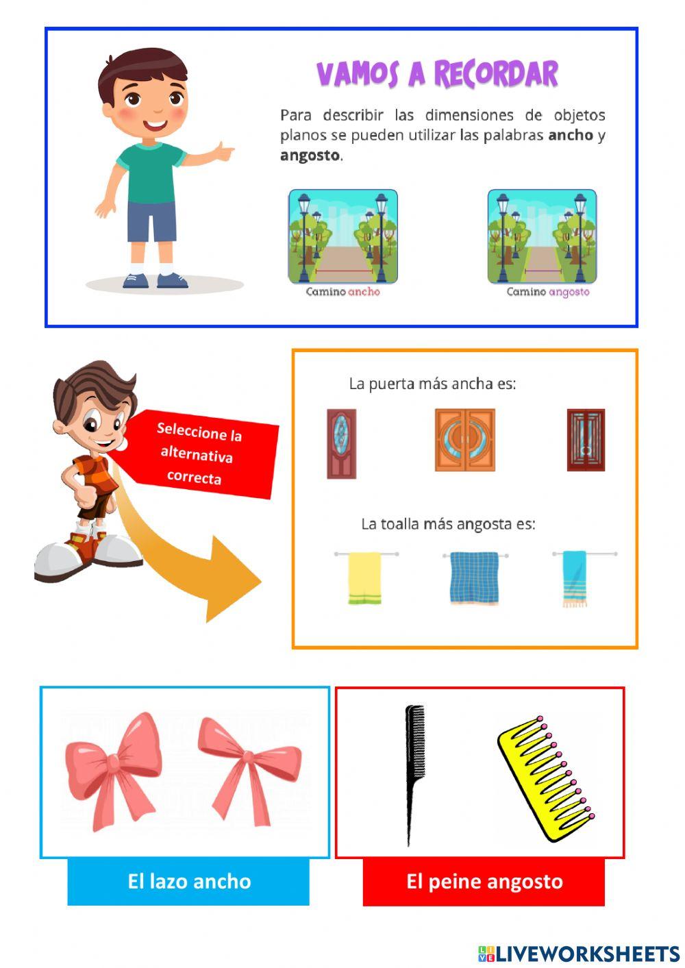 Largo - corto -… | Free Interactive Worksheets | 1913943