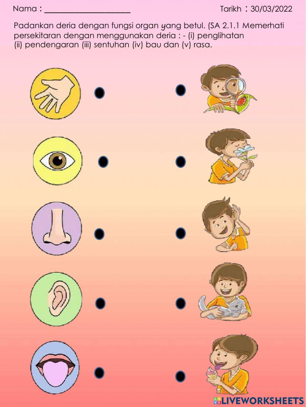 5 Deria activity | Live Worksheets