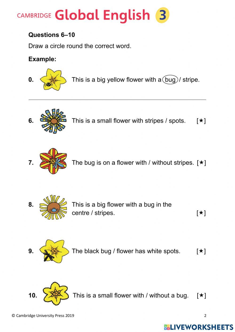 3rd grade Unit 7 Test (corrrect) online exercise for | Live Worksheets