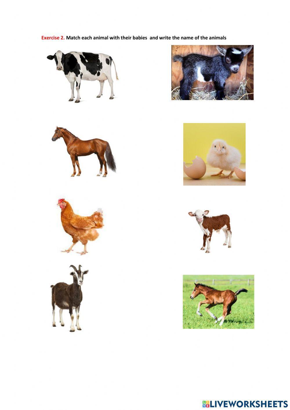 1972980 | Animal babies | karenoklahoma | LiveWorksheets
