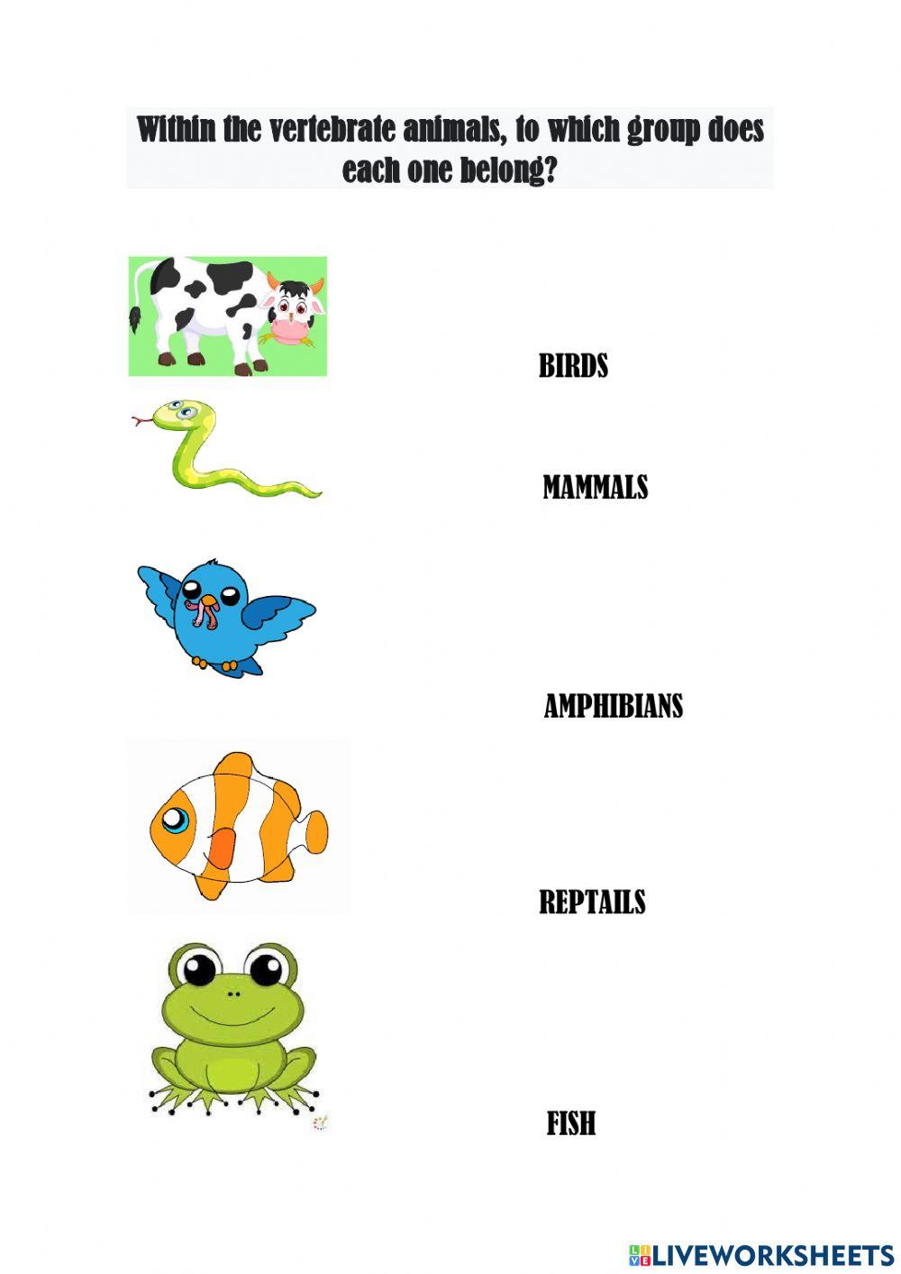 Animales online exercise for primero de primaria | Live Worksheets