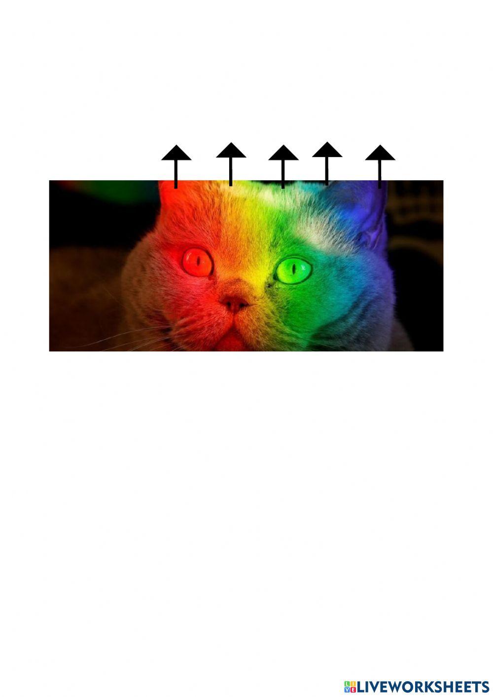 Drop Down Select Box Online Activity Live Worksheets