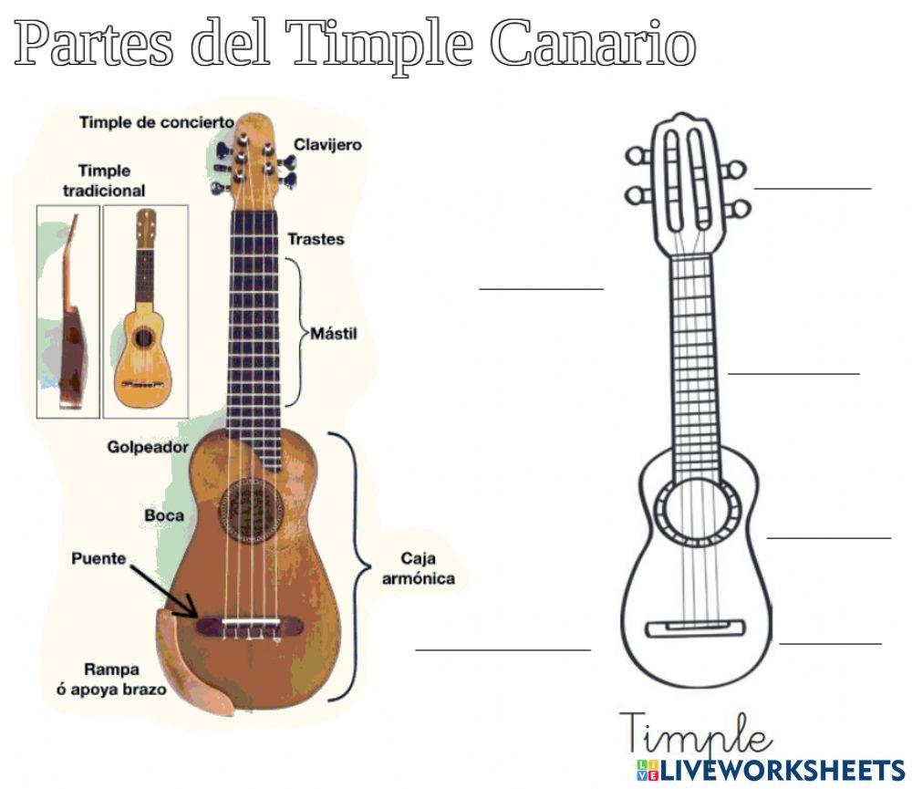5322058 | Ficha las partes del timple canario | María