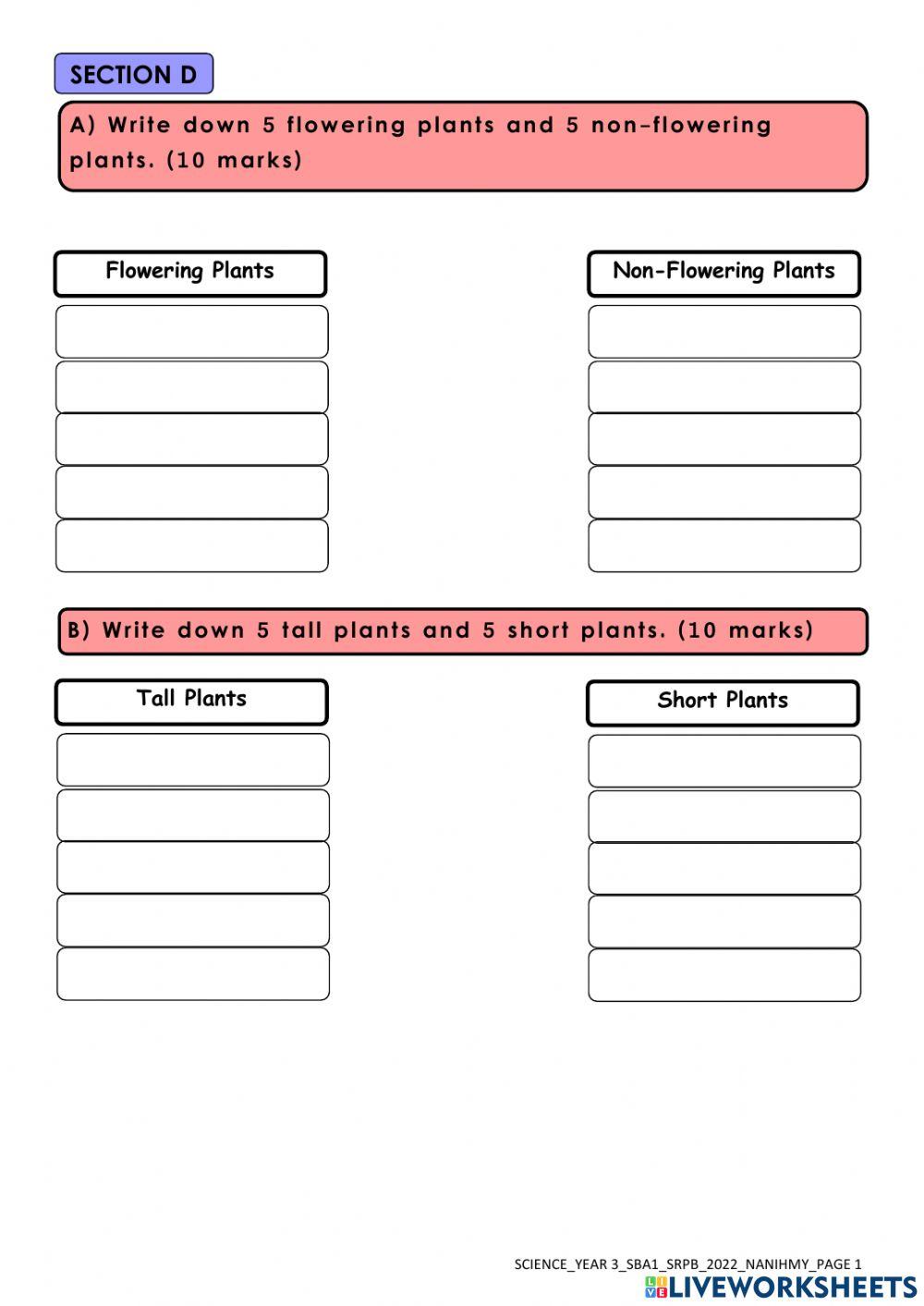 Topical test | Live Worksheets Topical test | Live Worksheets
