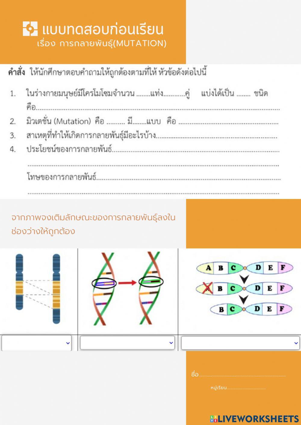 Mutation activity | Live Worksheets
