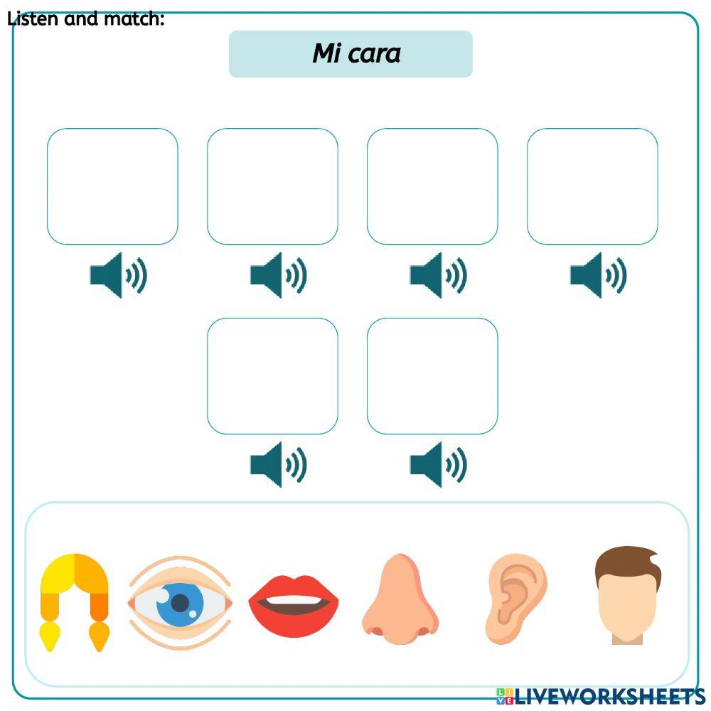 1915485 | Mi cara | Miss_Mata | LiveWorksheets