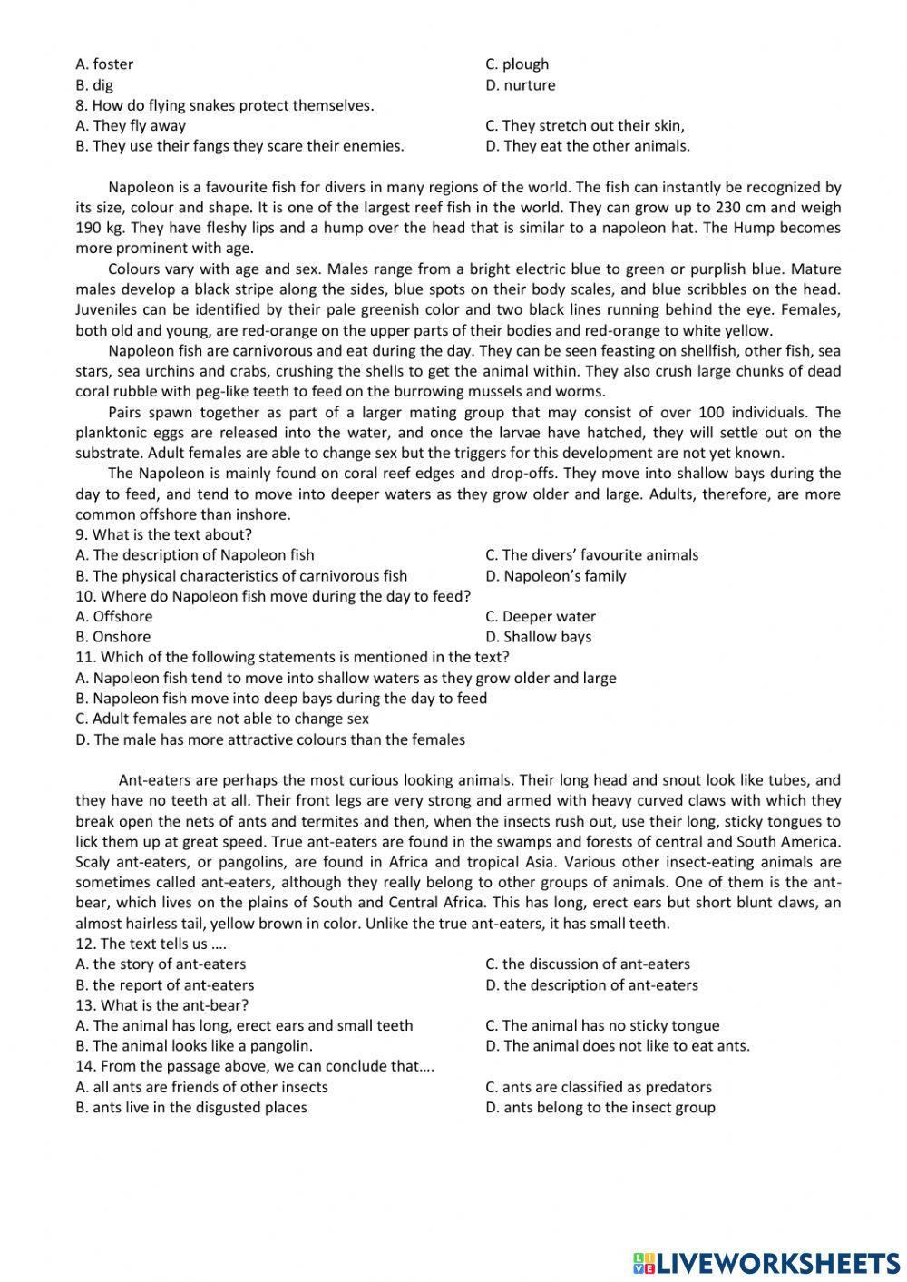 Latihan us (report text)1 worksheet | Live Worksheets