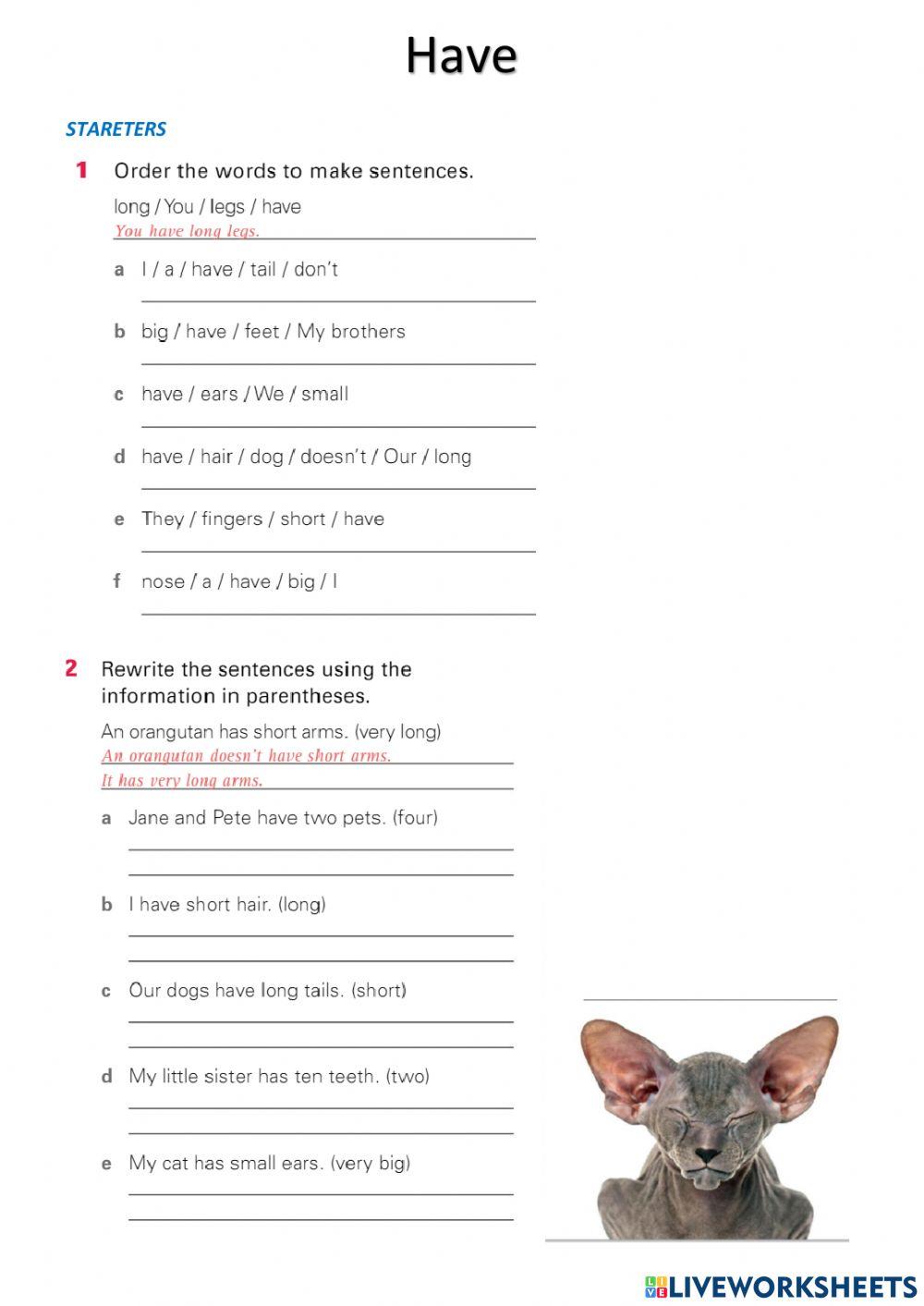 1916234 | Have Practice | JACQUELINE PARI BOLIVAR