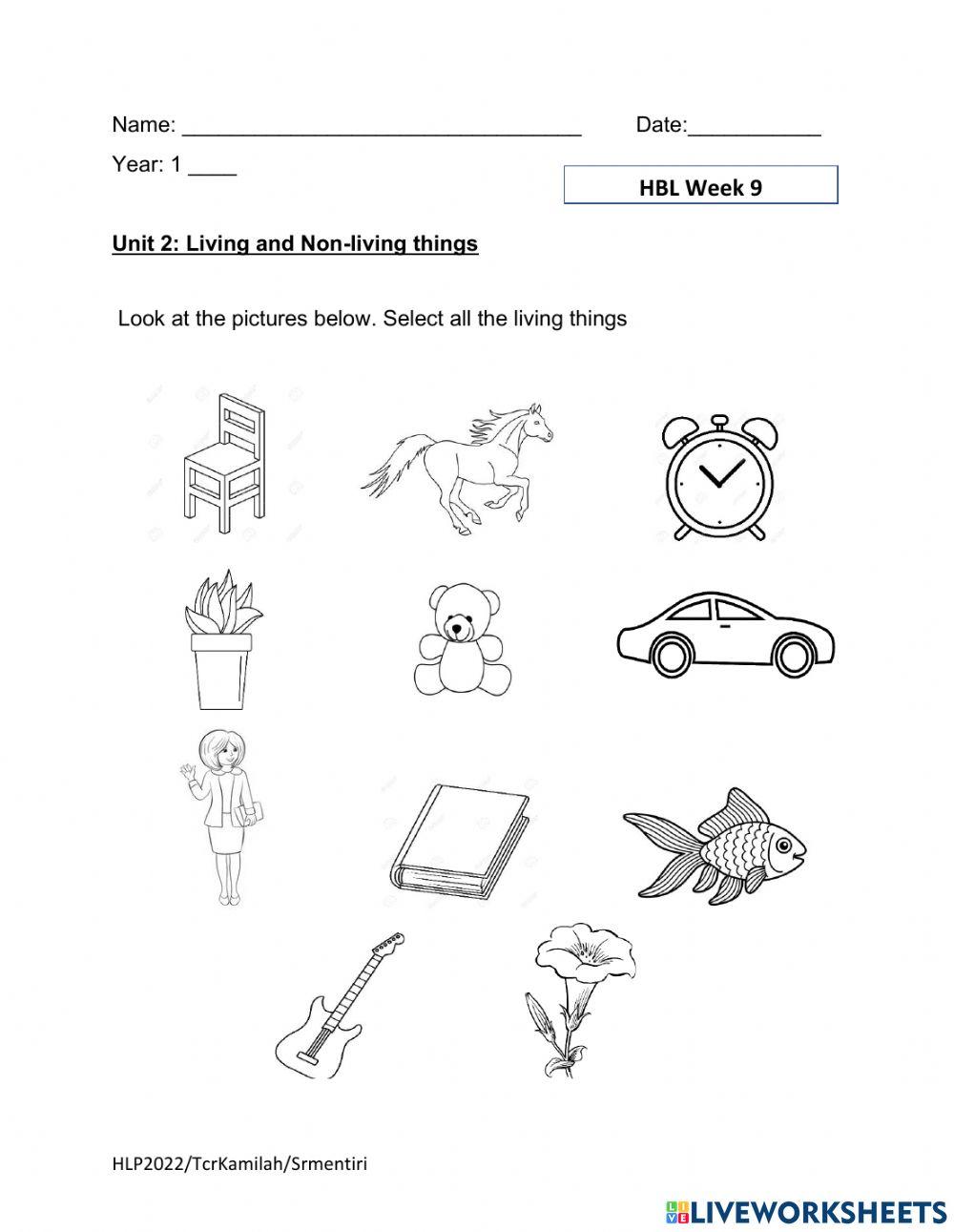 Living And Non living Things Interactive Activity For Grade 1 Live living-and-non-living-things-interactive-activity-for-grade-1-live