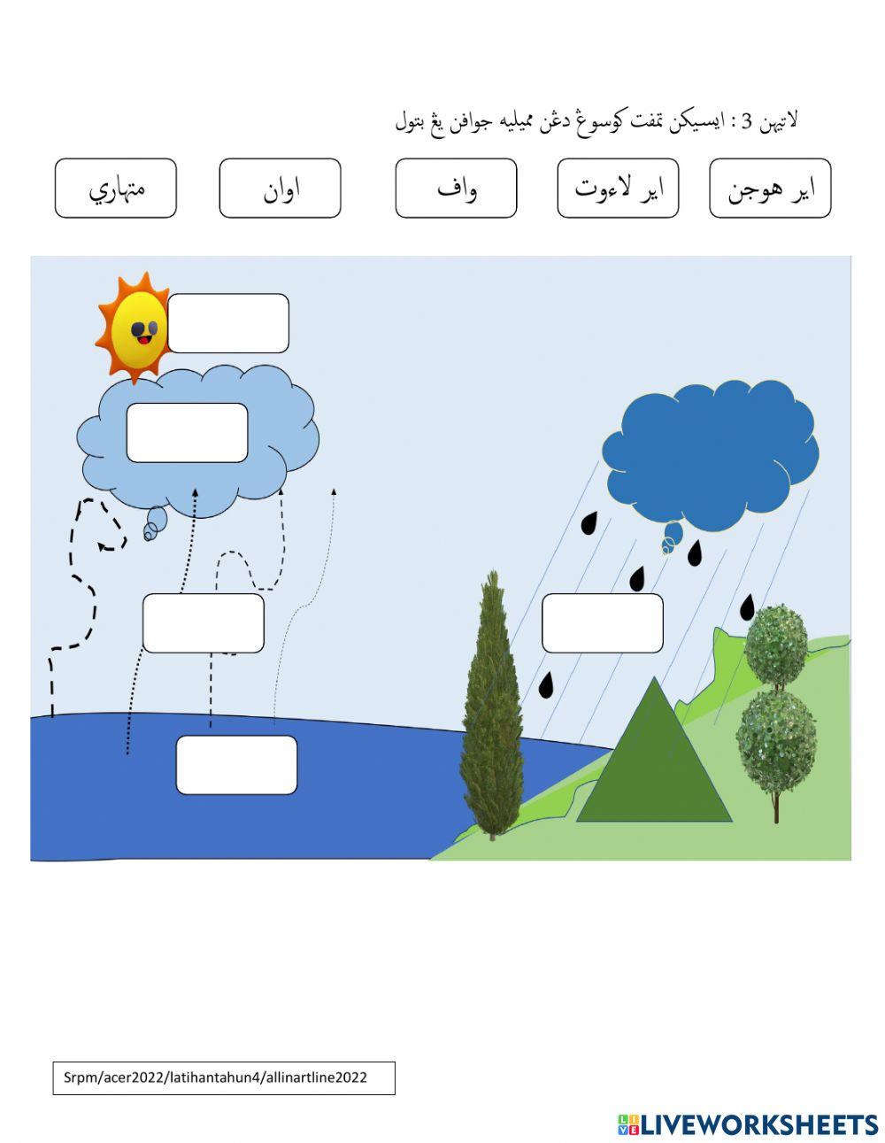 Pentingnya Hujan activity | Live Worksheets