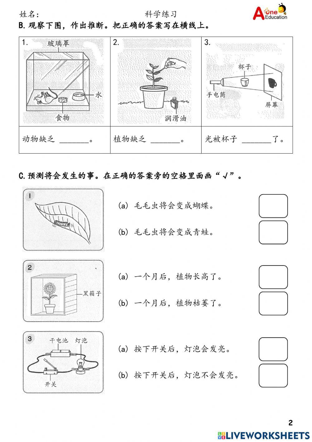 Std 3 科学练习 worksheet | Live Worksheets