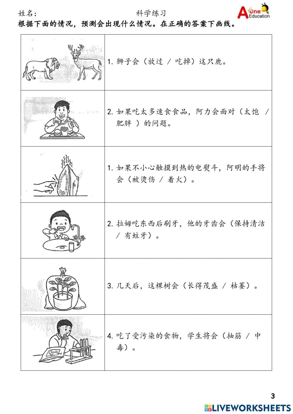 Std 3 科学练习 worksheet | Live Worksheets