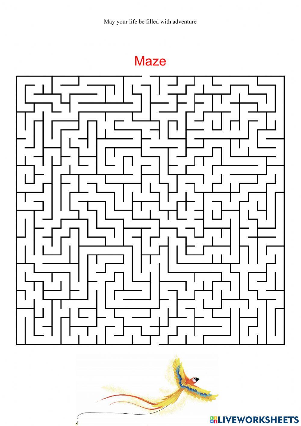 The Adventures of Mr. Macaw worksheet | Live Worksheets