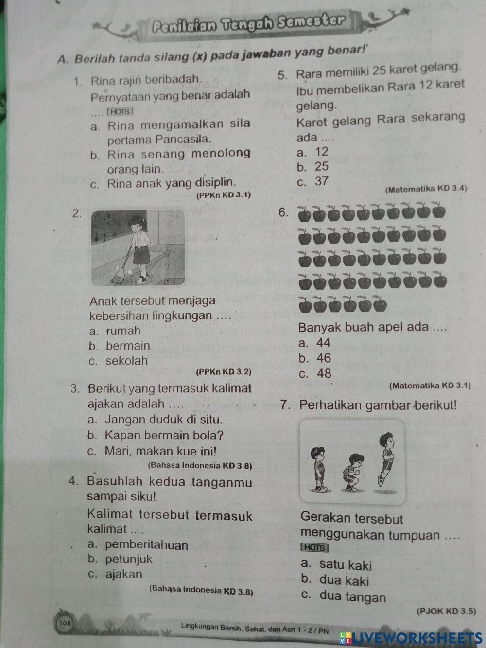 Tema6 activity | Live Worksheets