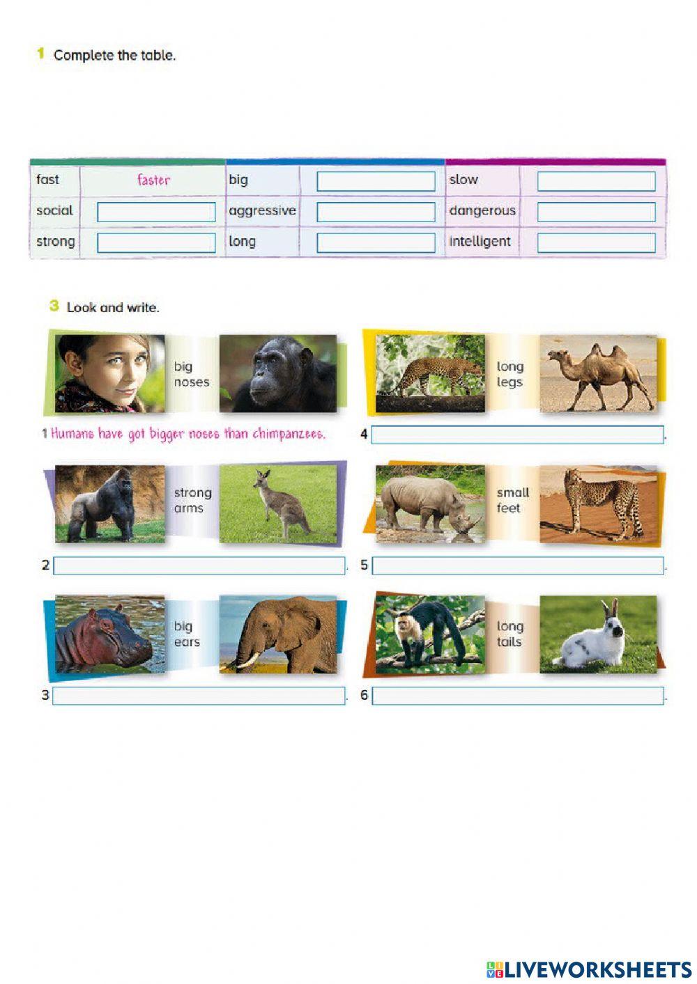 Unit review online pdf worksheet for Level 5 | Live Worksheets