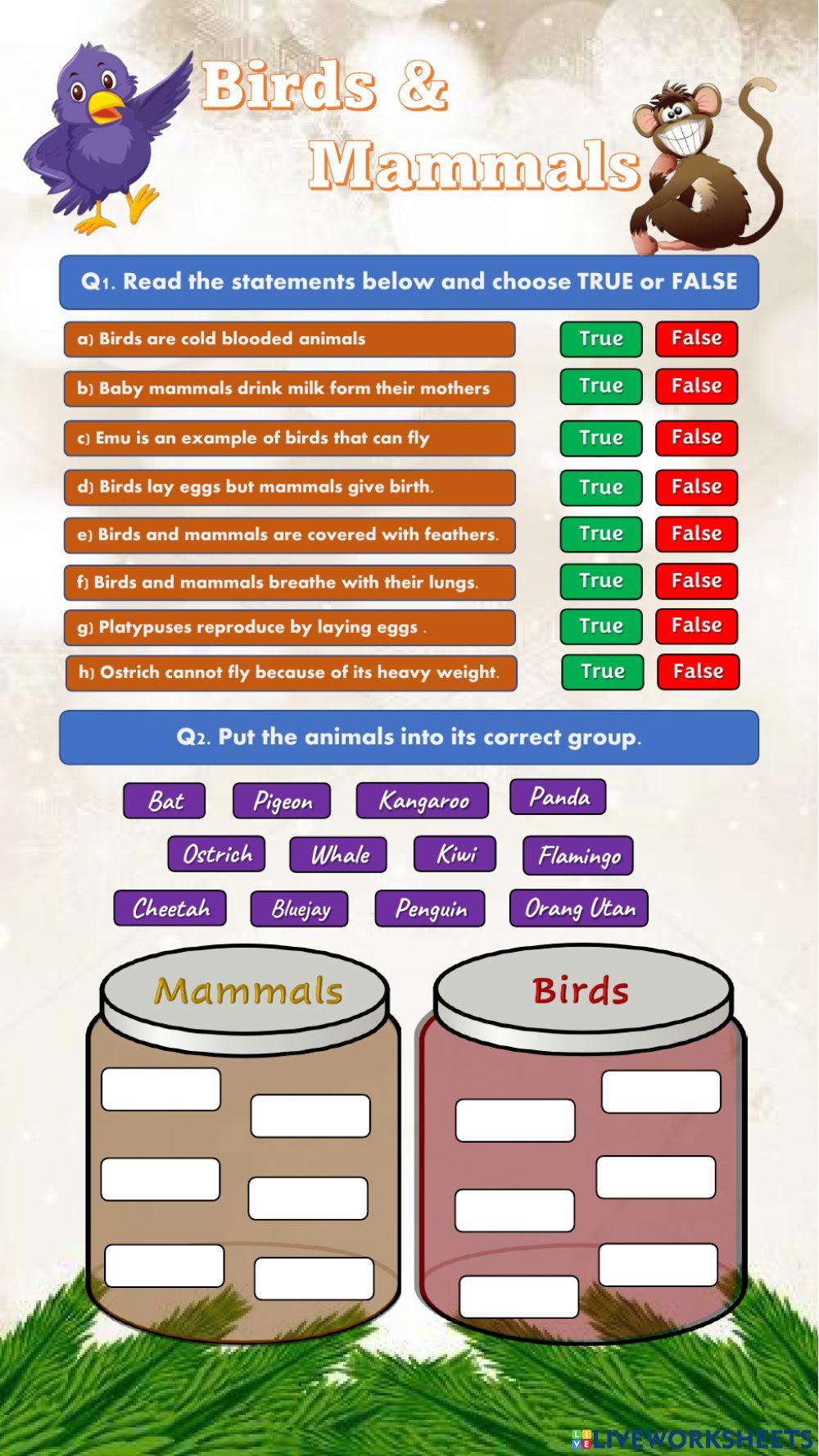 Birds - Mammals… | Free Interactive Worksheets | 4132404