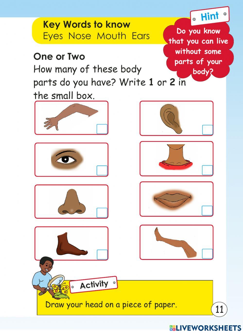 One or Two worksheet | Live Worksheets