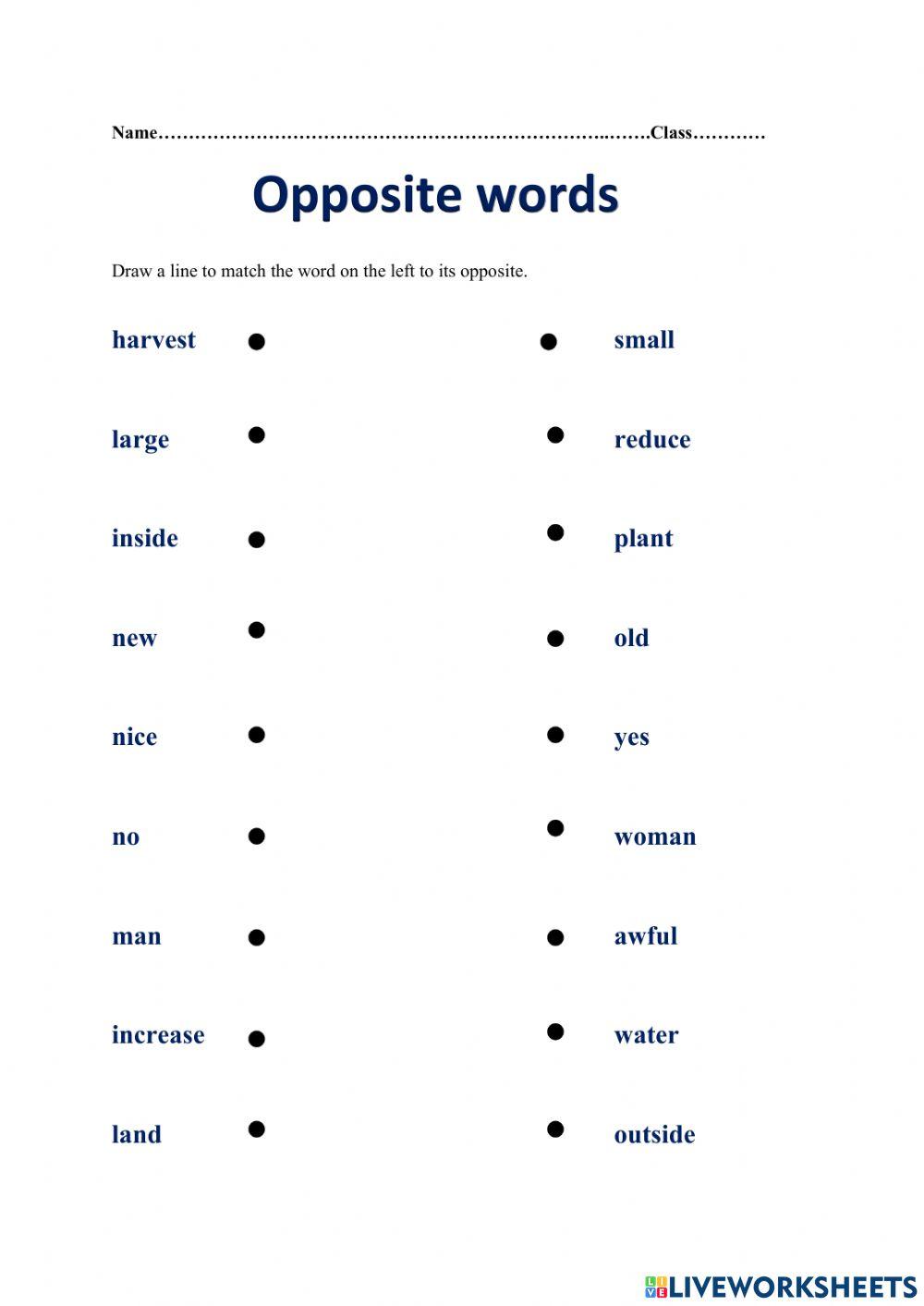 Opposite Words opposite-words