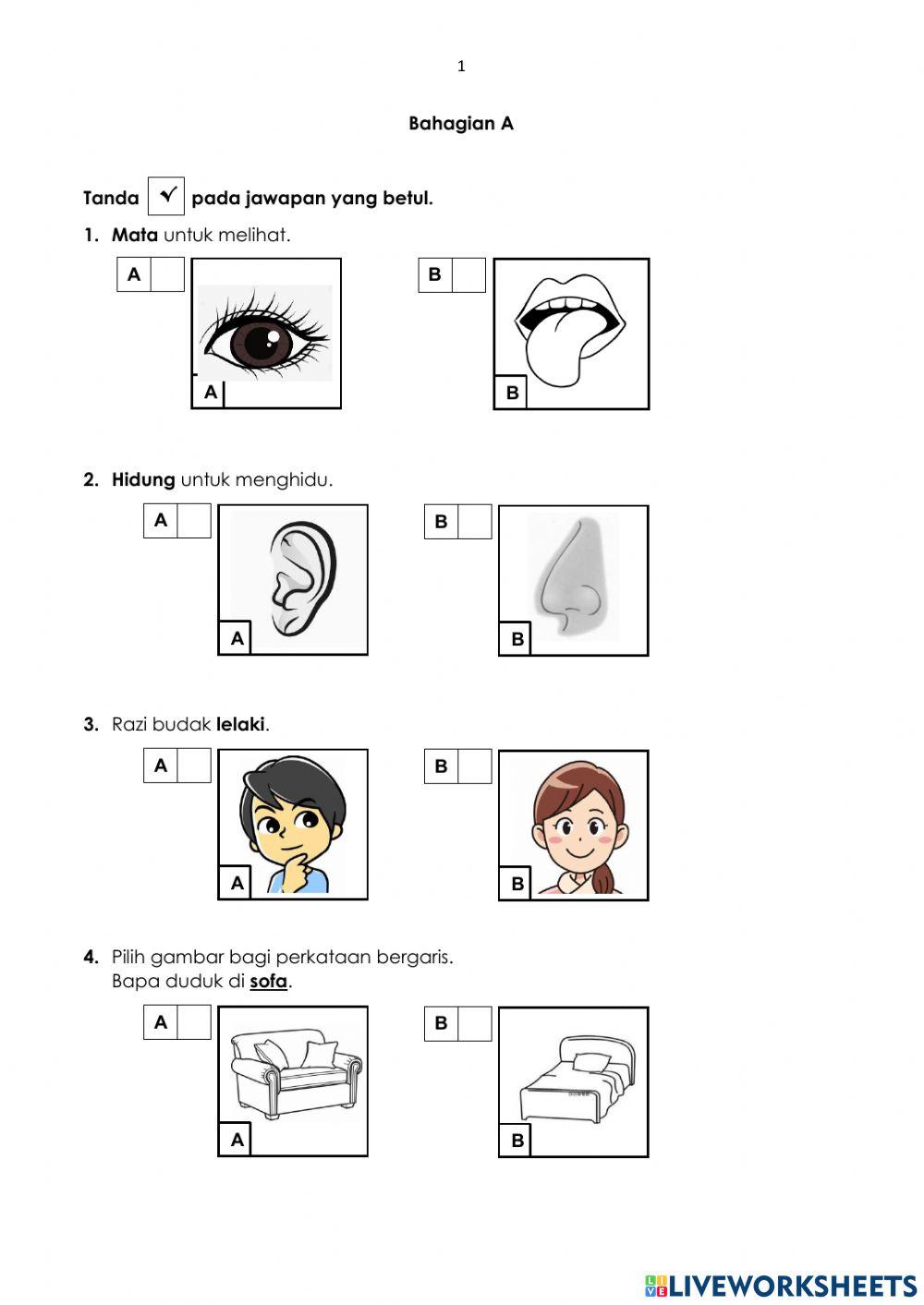 MALAY TEST YEAR 1 (SECTION A) 6846057 | Nurul Hanna