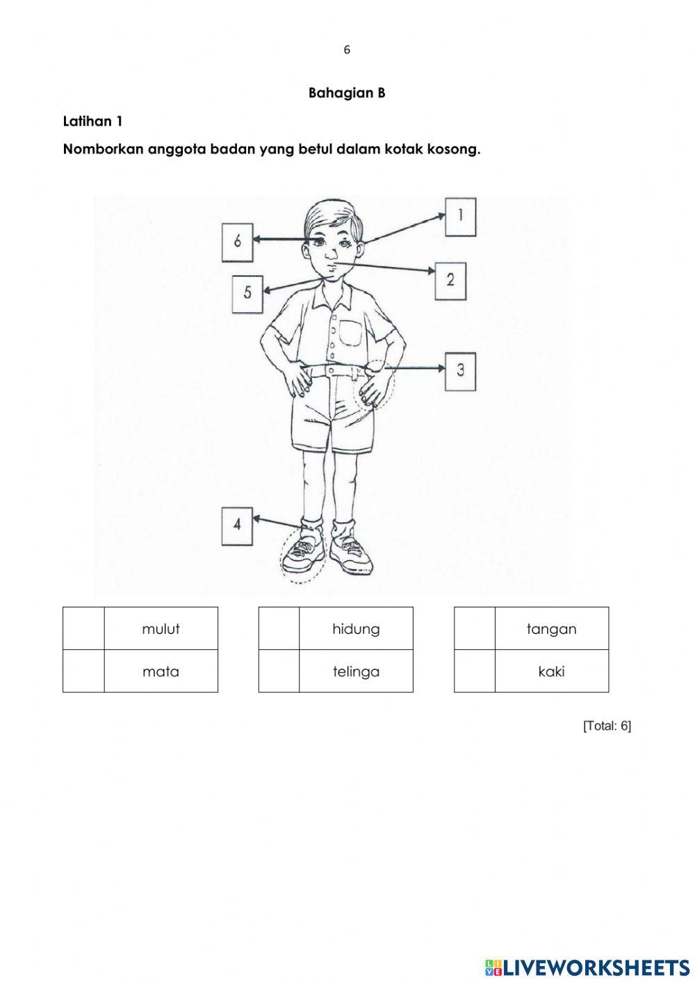 MALAY TEST YEAR 1 (SECTION B) online exercise for | Live Worksheets