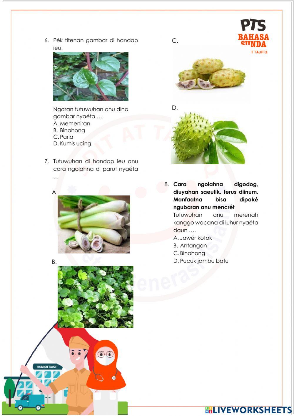 KELAS 5 PTS BASA SUNDA 5310740 | Nurherliana