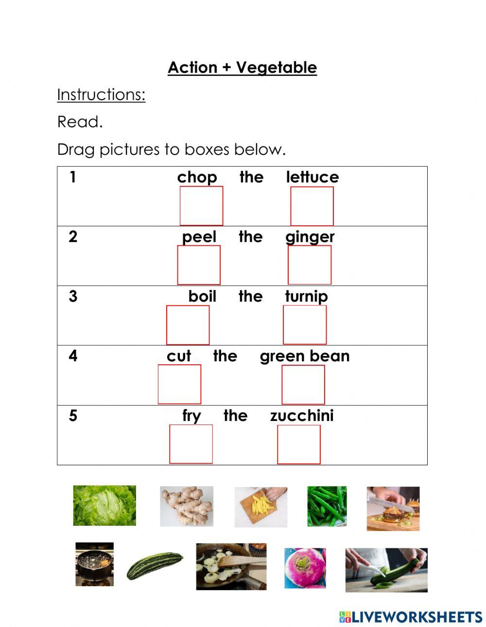 1924300 | Action + Vegetable | brandiauger