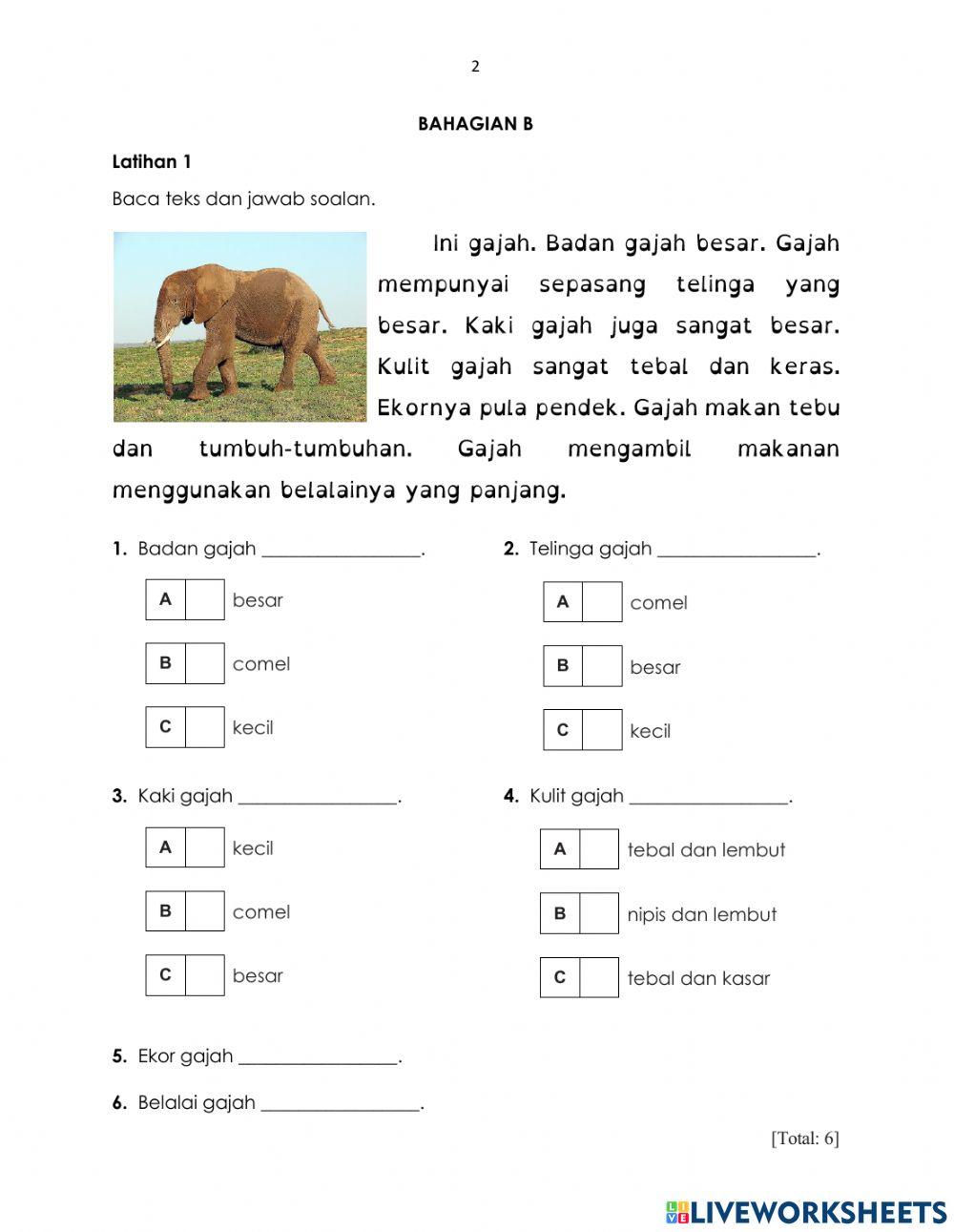 6846321 | MALAY TEST YEAR 3 | Nurul Hanna Attiya Binti