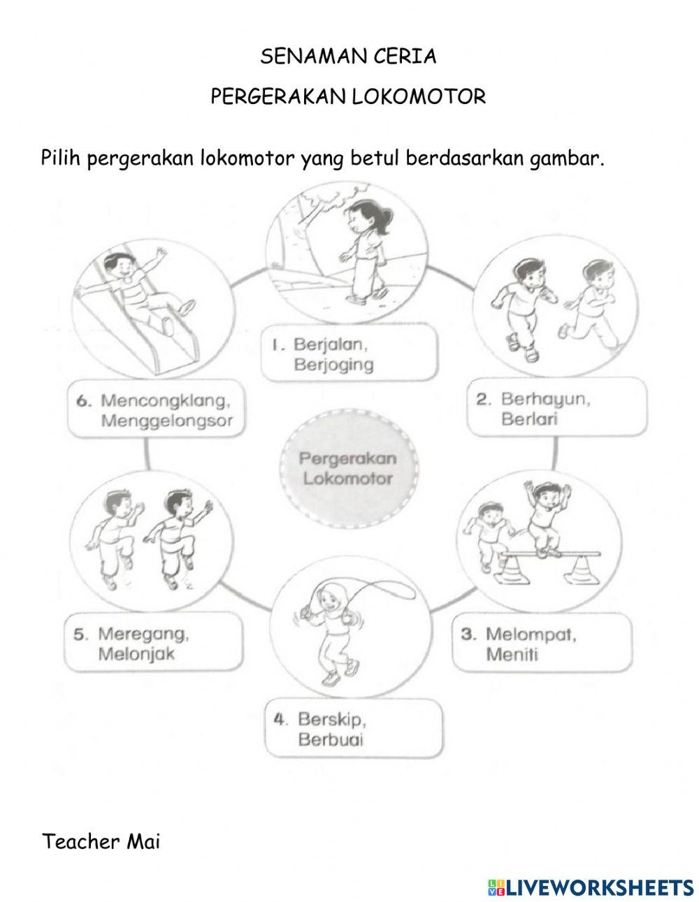 Pe Pergerakan Lokomotor Online Exercise For Live Worksheets