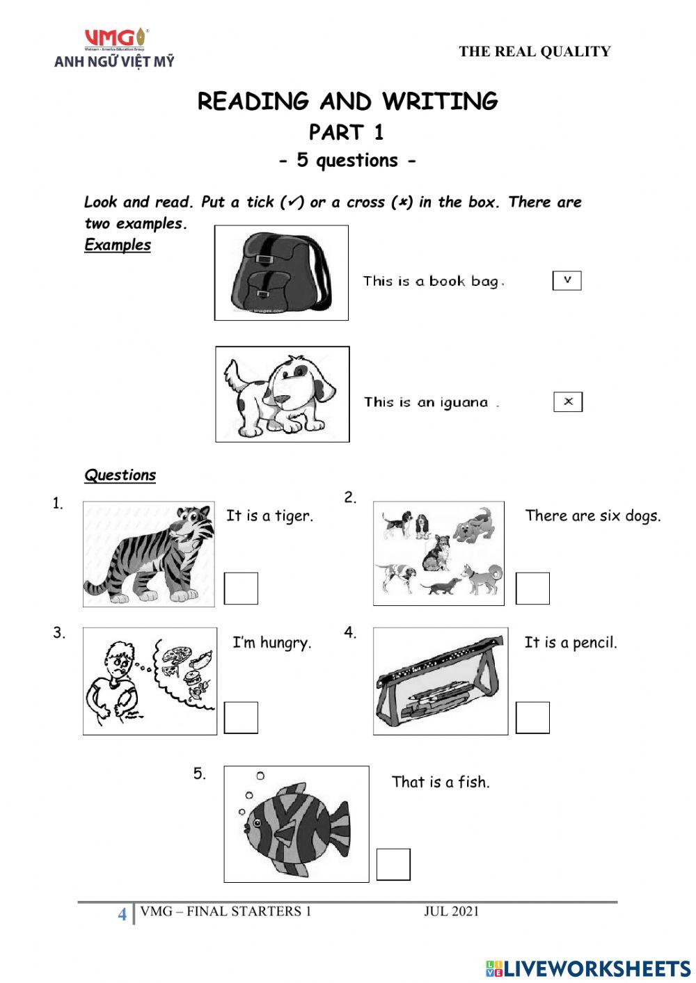 Final starter 1 worksheet | Live Worksheets