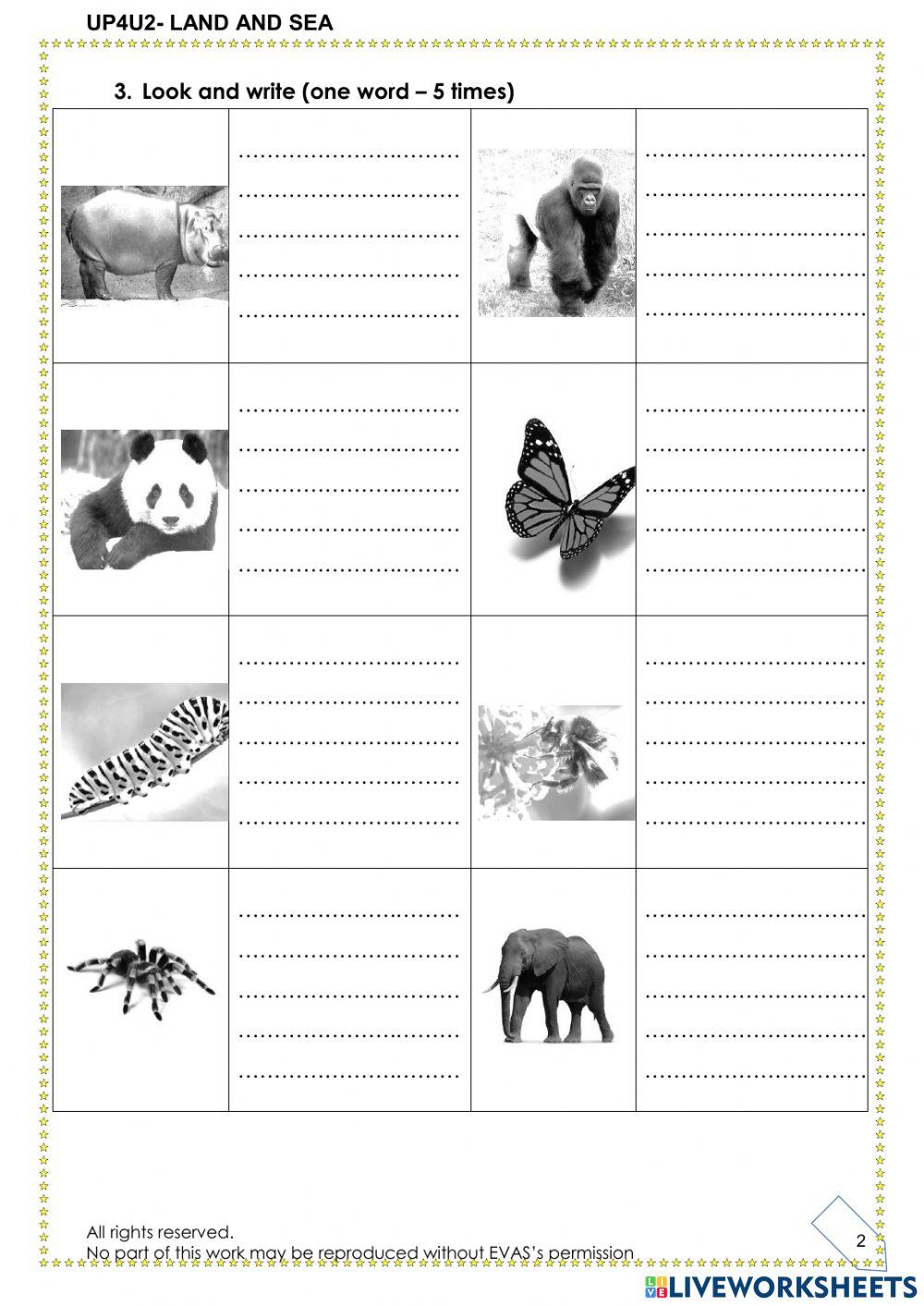 Unit 2 up 4 worksheet | Live Worksheets