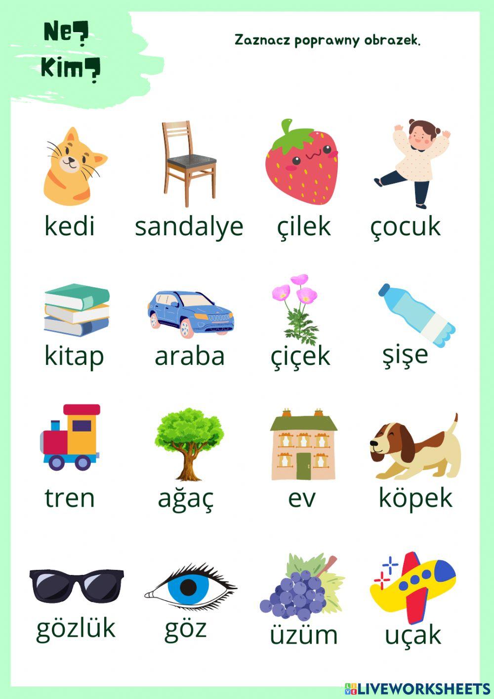 Alfabe | English Language Worksheets | 5311404