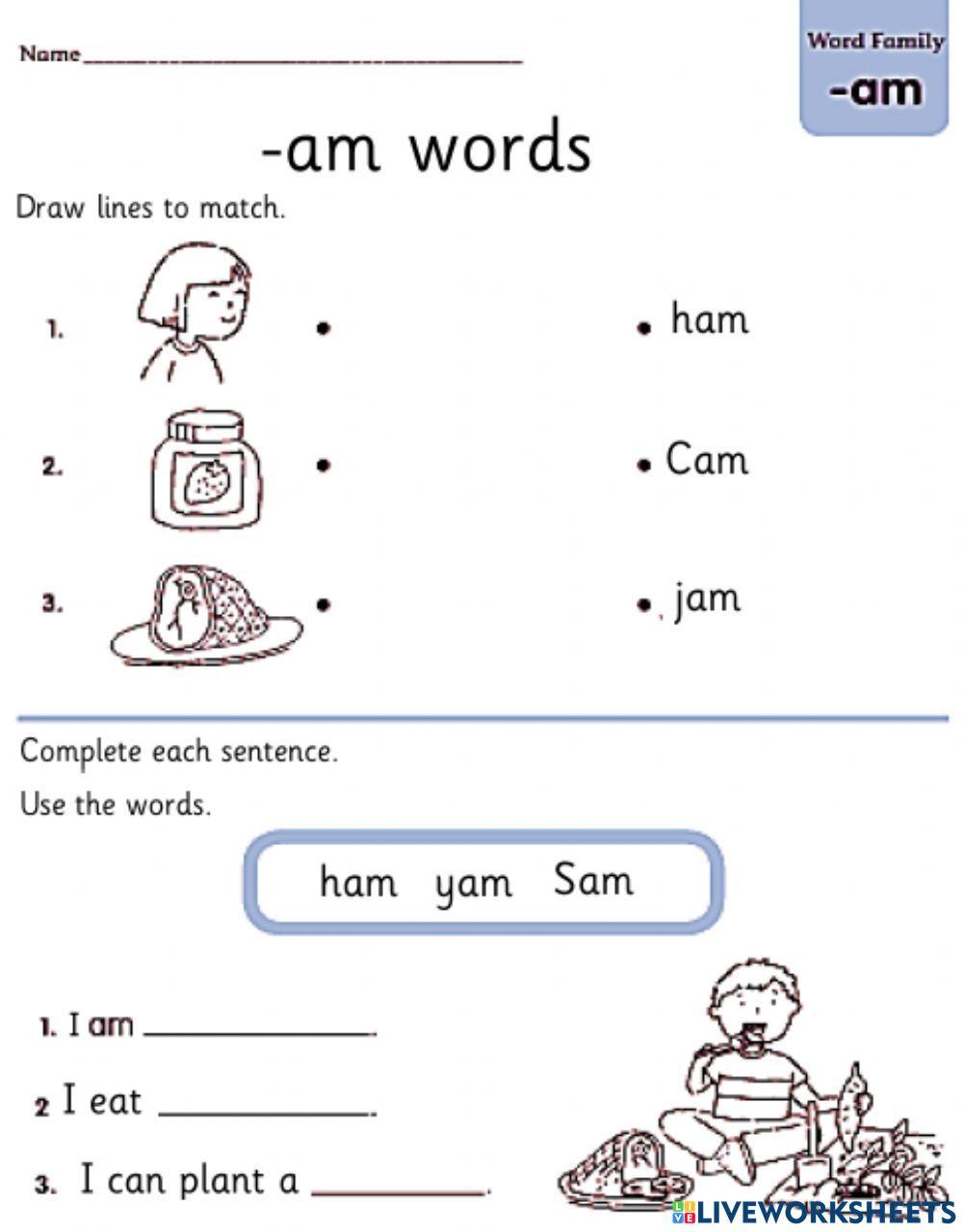 amwords online exercise for | Live Worksheets