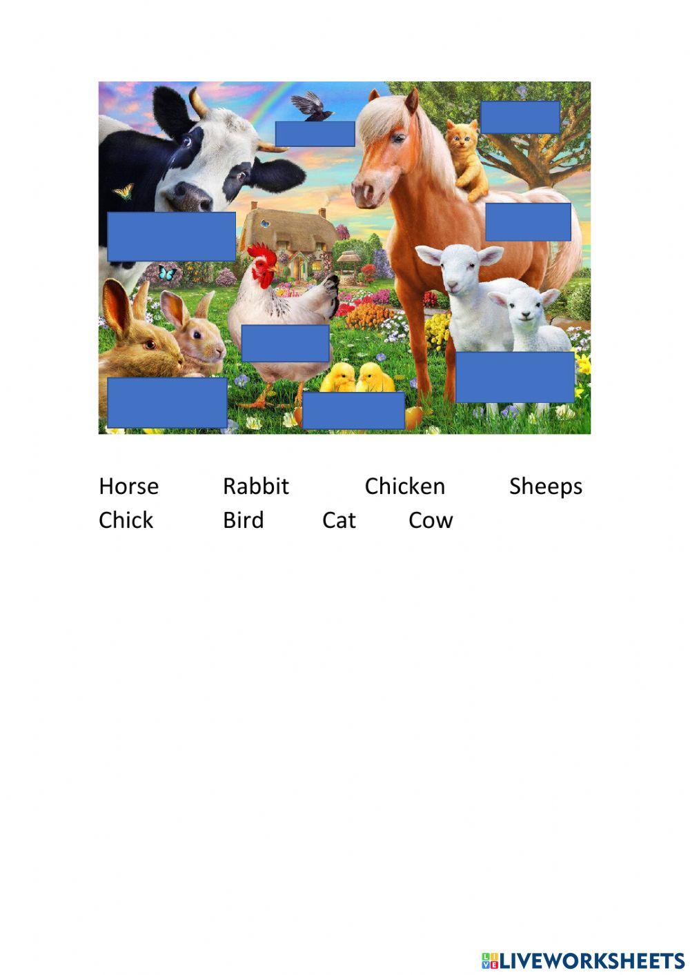 Animals drop interactive worksheet | Live Worksheets