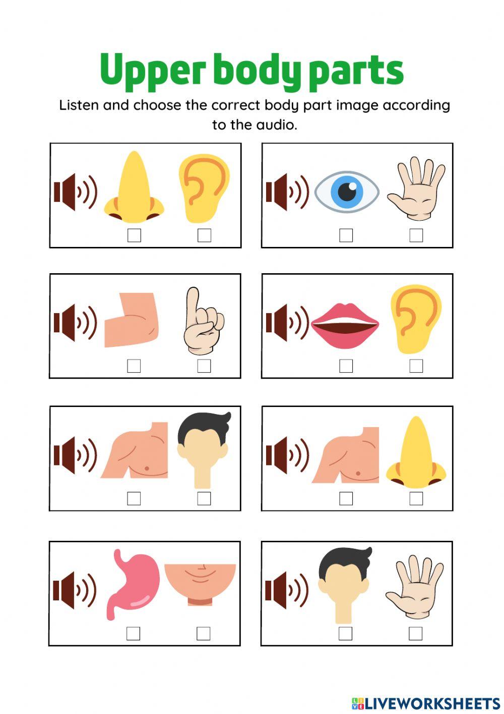 Upper body parts | Hector Enrique Zelaya Alvarez | Live