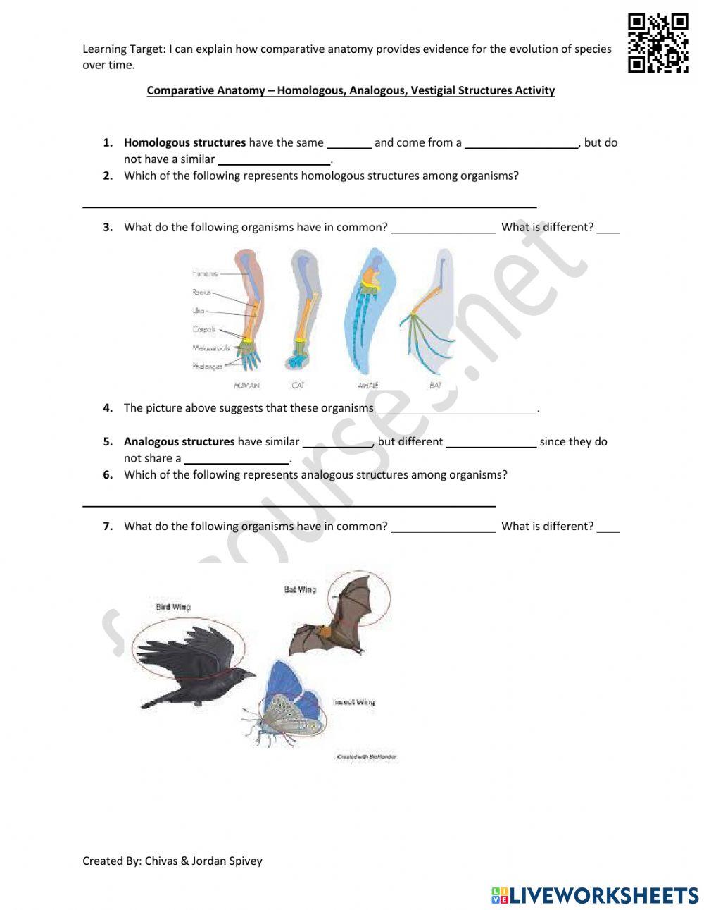 Comparative Ana Free Interactive Worksheets 6903043 comparative-ana-free-interactive-worksheets-6903043
