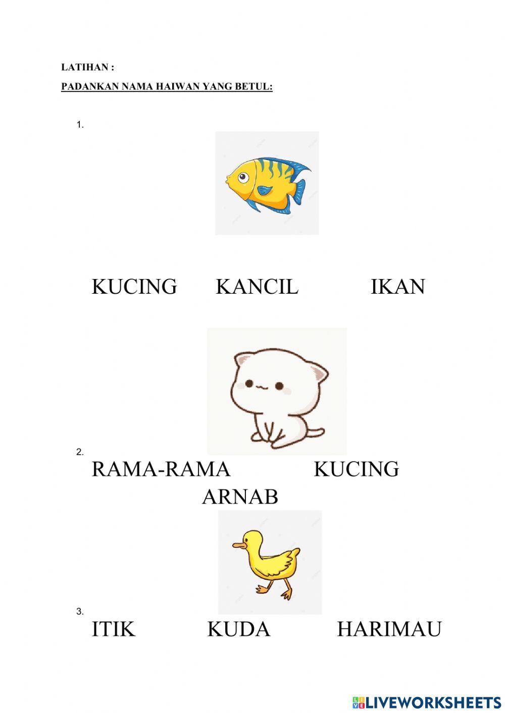 Mari mengenal haiwan interactive worksheet | Live Worksheets