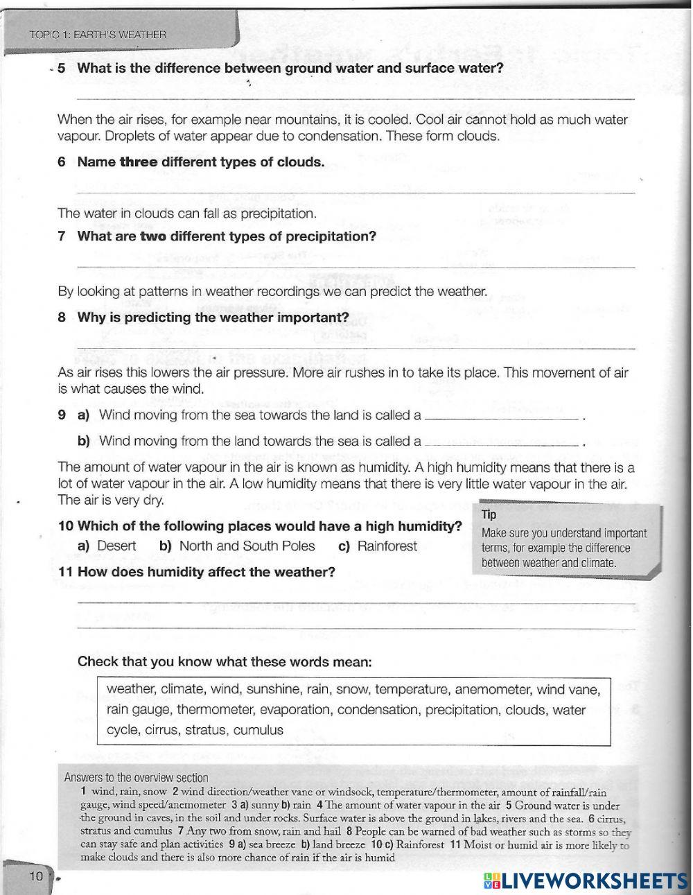 Weather online exercise for Six | Live Worksheets