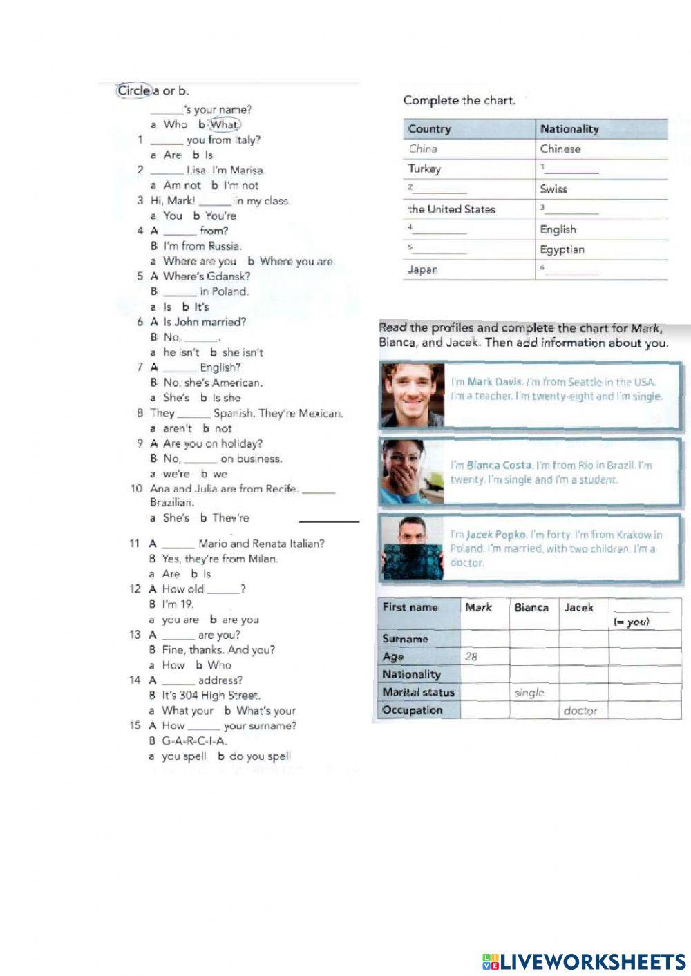 Adults 1- Homework worksheet | Live Worksheets